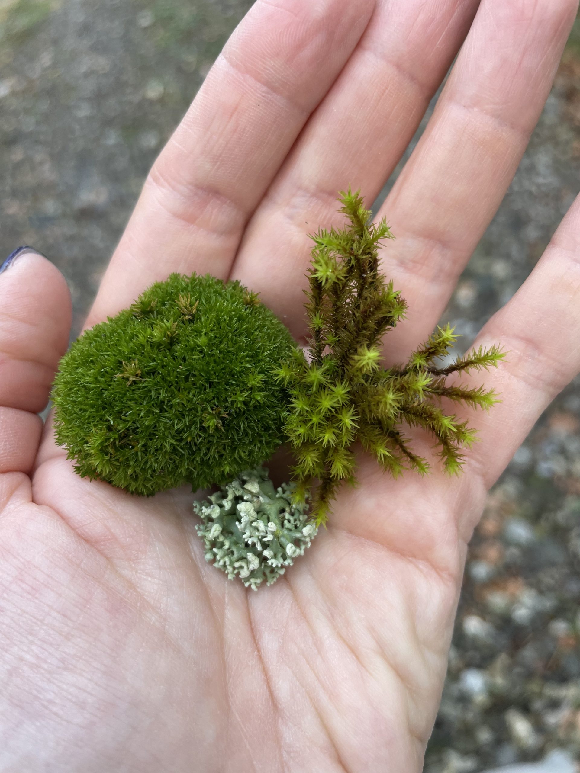 Der lernende Raum - LernLust.JETZT